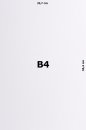 B4 Papier (25,7 x 36,4 cm) weiss - 100g (250 Blatt), 46,60